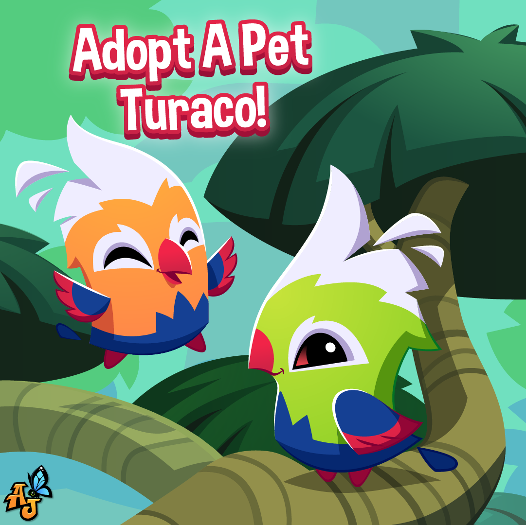 Your Guide to Everything Animal Jam - page 6 - The Daily Explorer